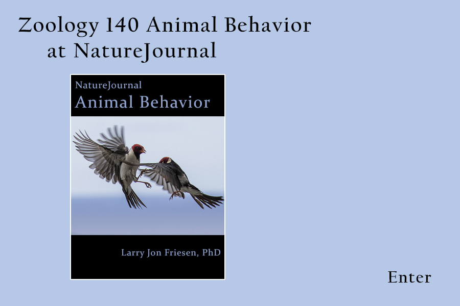 Animal Behavior